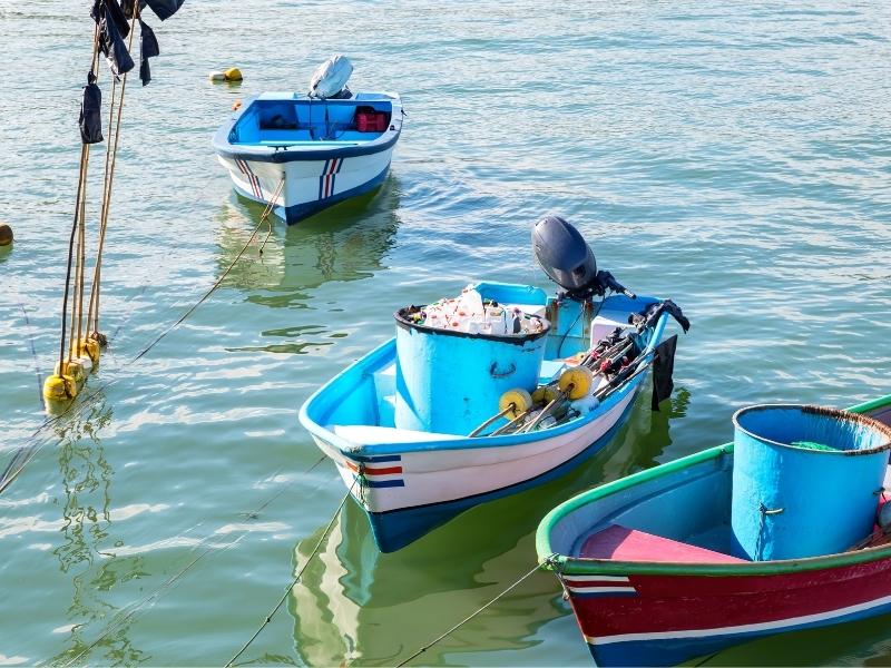 Guide to Fishing in Costa Rica (Best Times & Places) - Eco Lodges Anywhere