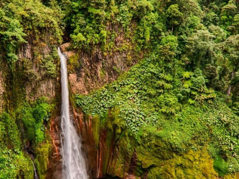 25 Costa Rica Waterfalls + Map (From Famous to Off-beat) - Eco Lodges ...