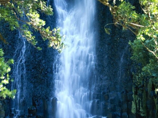 25 Costa Rica Waterfalls + Map (From Famous to Off-beat) - Eco Lodges ...