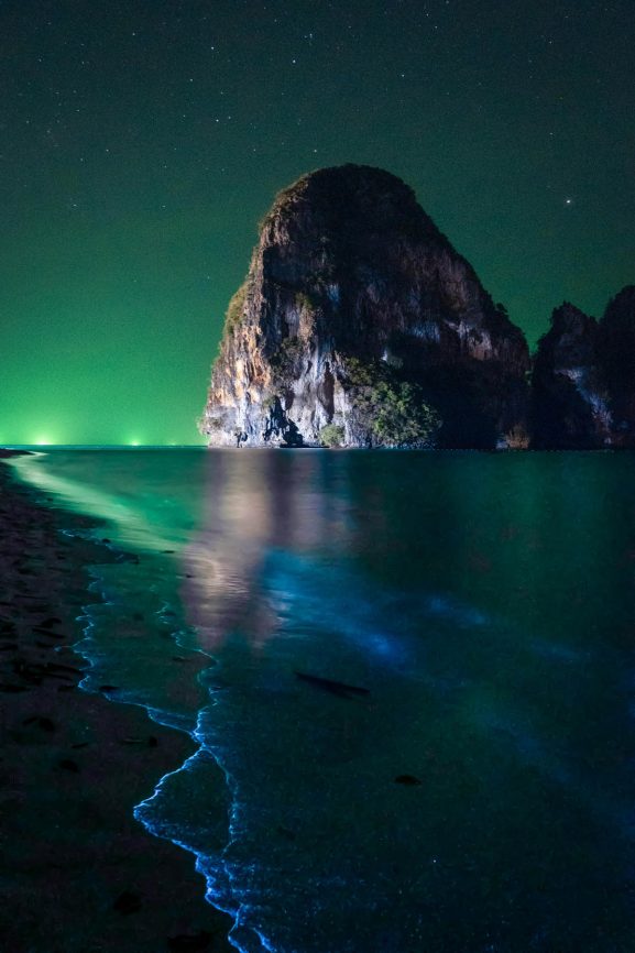 Bioluminescent Bays in Puerto Rico and the World (+ Map) - Eco Lodges ...
