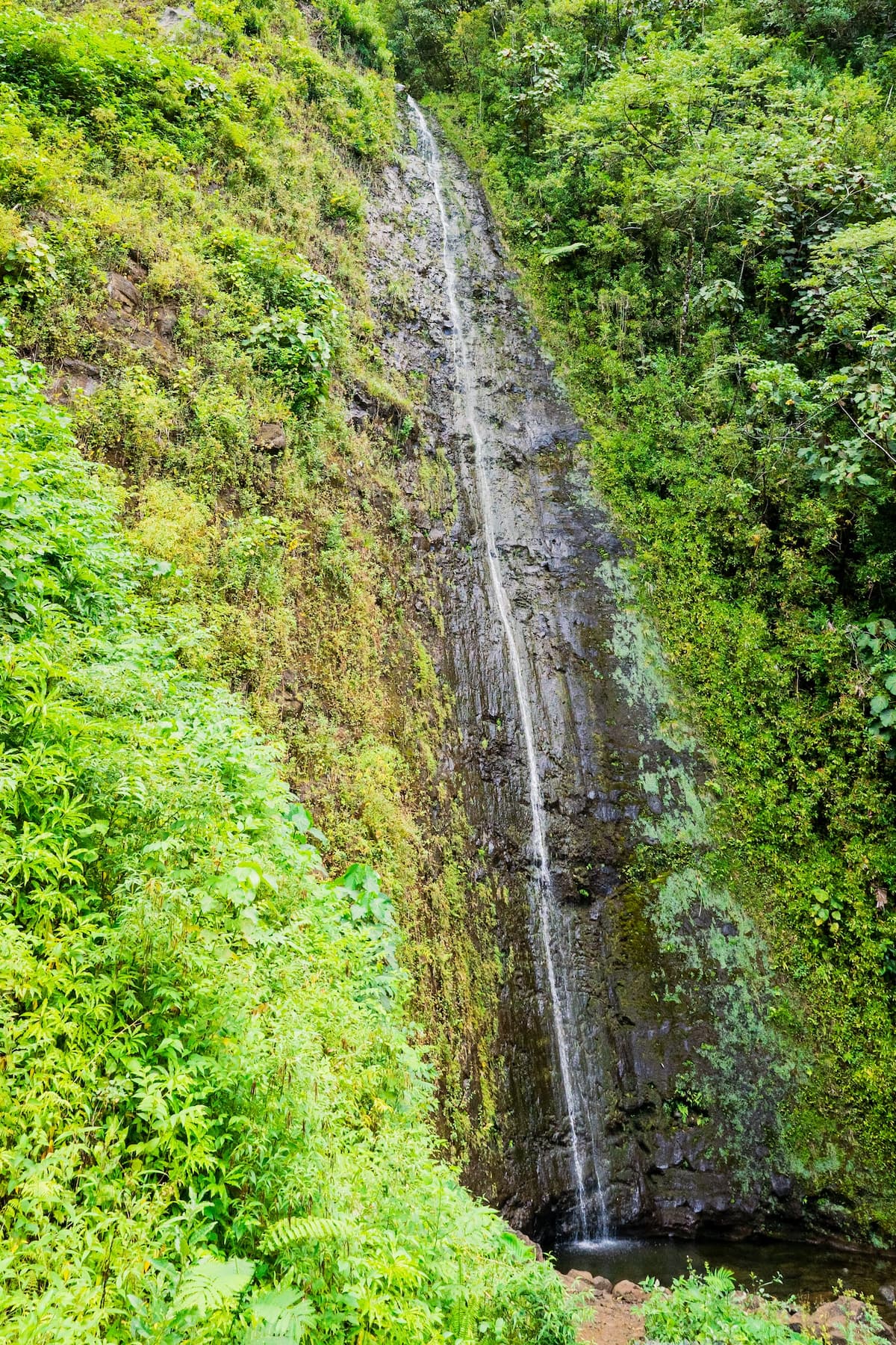 14 Oahu Waterfalls + Map + 2025 Info - Eco Lodges Anywhere