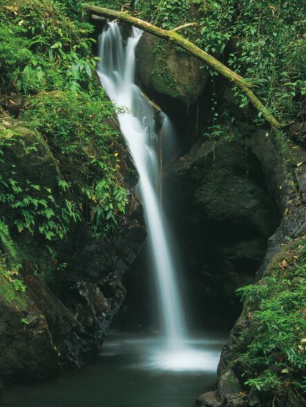 17 Belize Waterfalls + Map + 2025 Info - Eco Lodges Anywhere