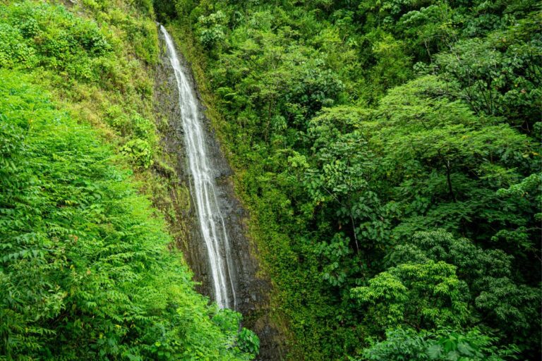 14 Oahu Waterfalls + Map + 2026 Info - Eco Lodges Anywhere