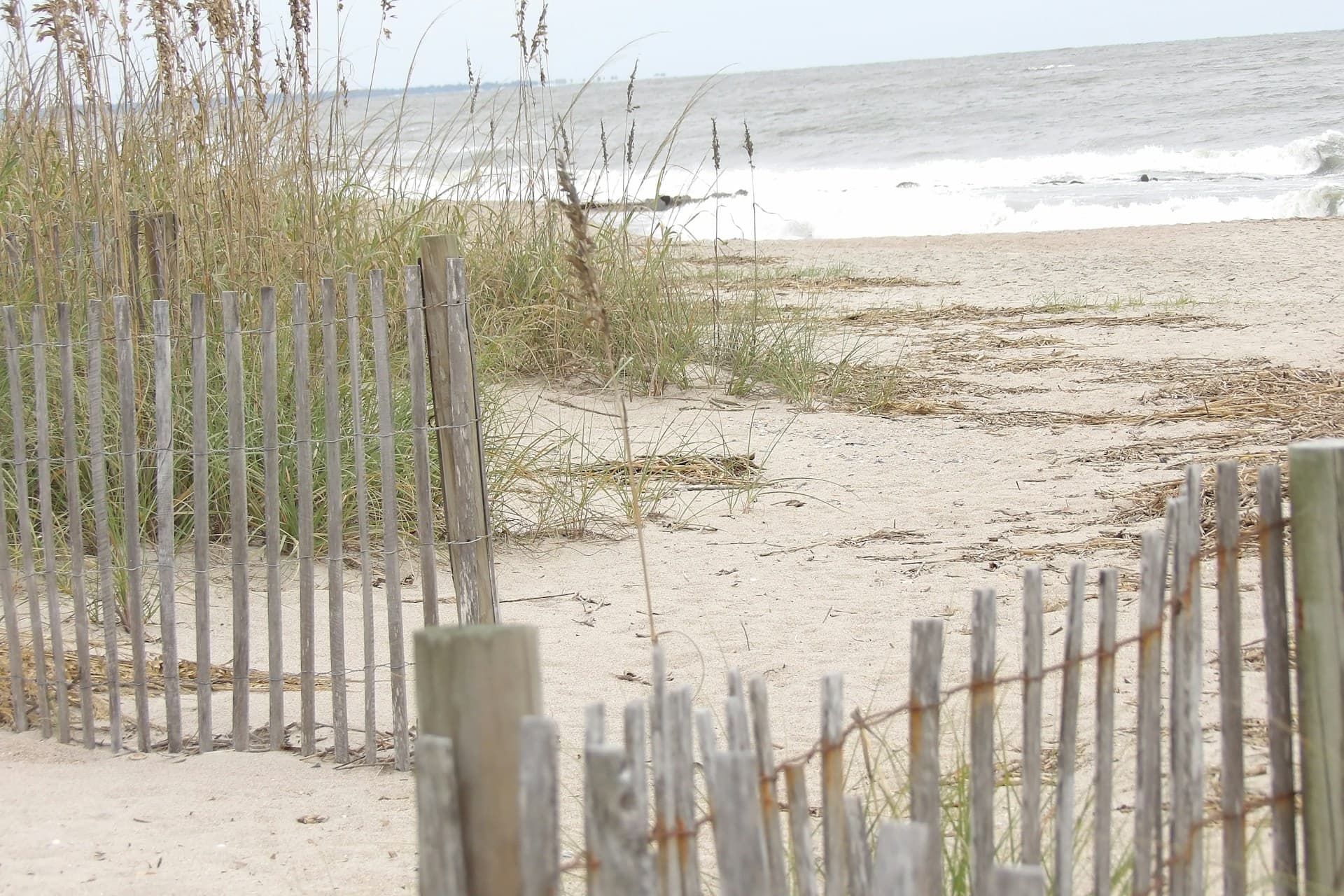 13 Fun Beaches in South Carolina for Families - Eco Lodges Anywhere
