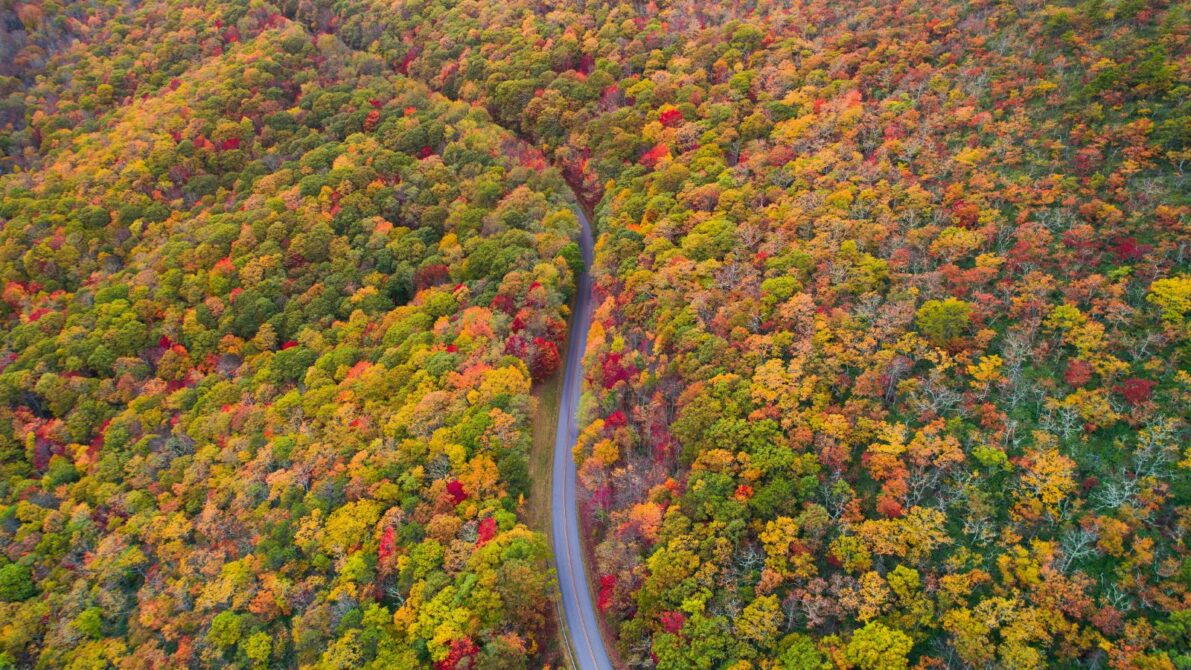 11 Most Popular U.S. Natural Attractions (New 2025 Visitor Data) - Eco ...