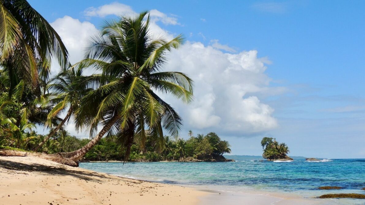Beaches Best Known For Turtle Watching Around the World - Eco Lodges ...