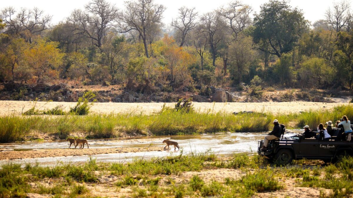 All 42 South African Game Reserves (Facts, Info, Map) - Eco Lodges Anywhere