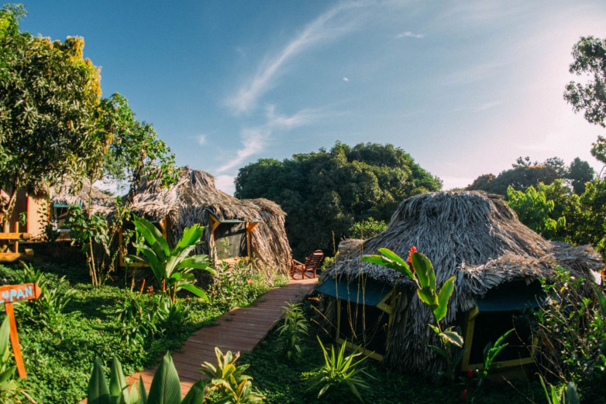 16 Most Sustainable Eco-Lodges in Panama - Eco Lodges Anywhere
