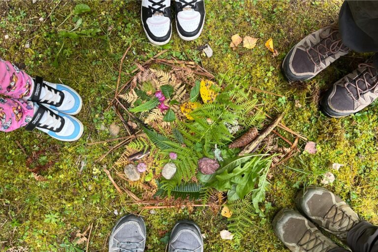 What is Forest Bathing? 6 Countries 6 Different Forests - Eco Lodges ...