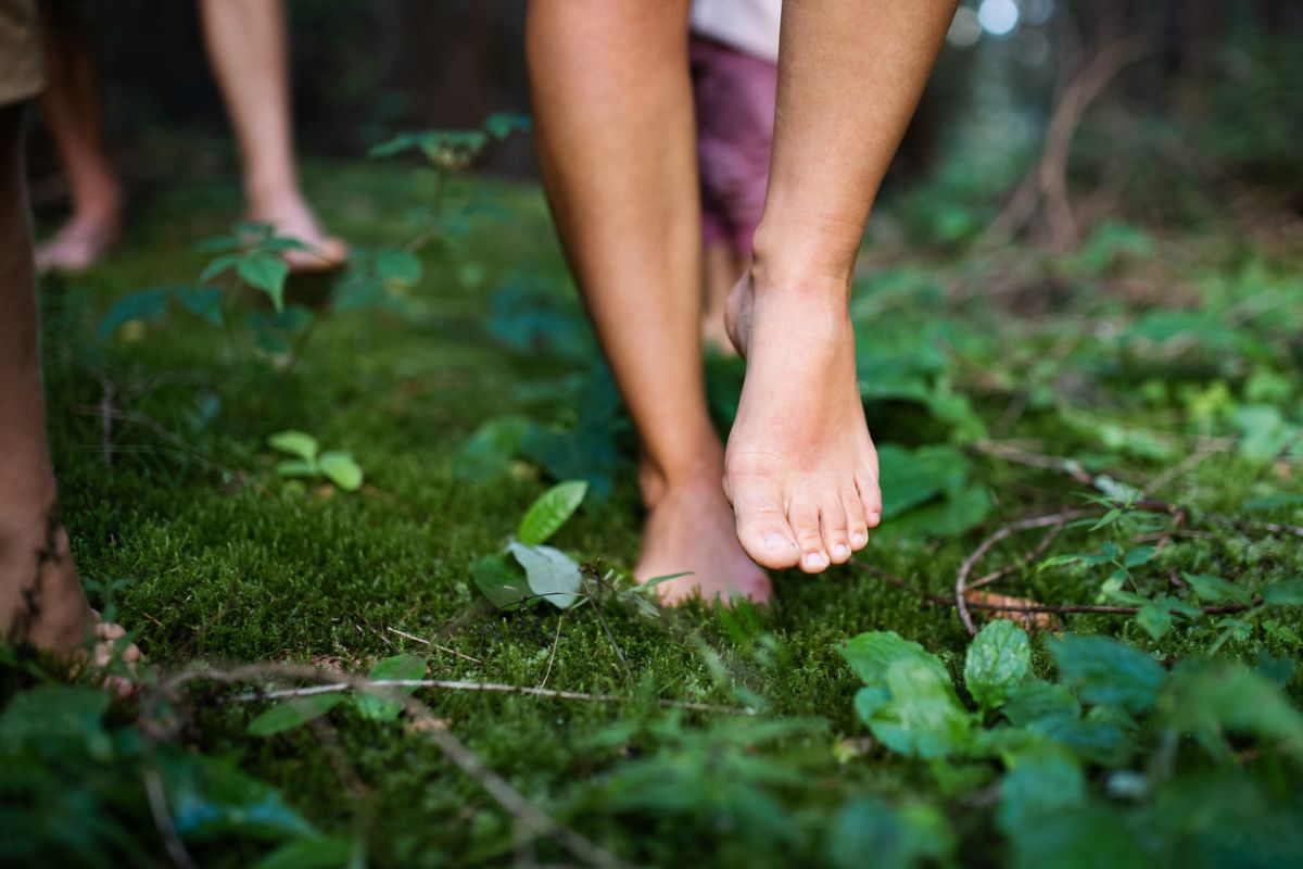 What is Forest Bathing? 6 Countries 6 Different Forests - Eco Lodges ...
