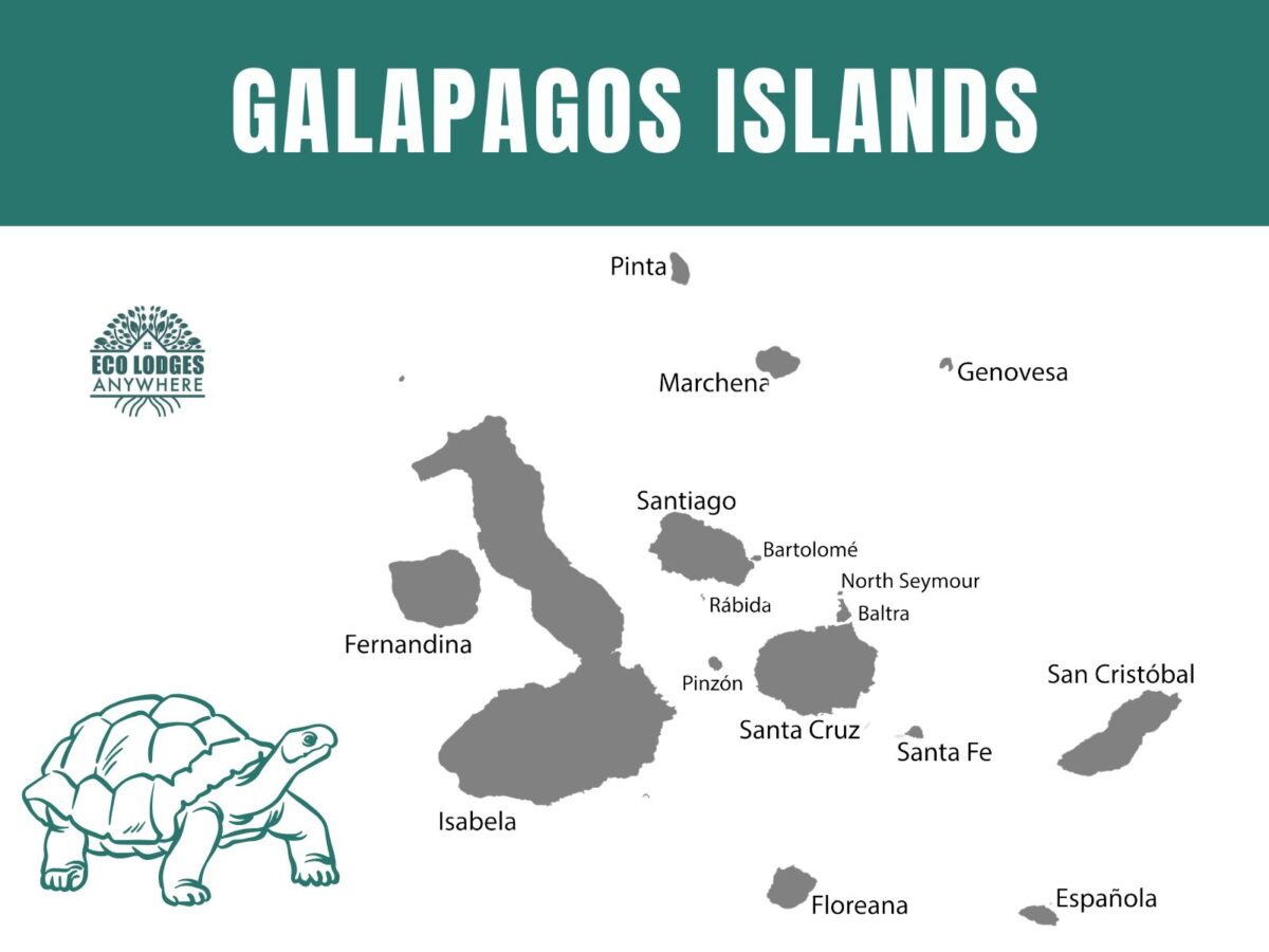 Galápagos Islands Guide - Where To Go, What To See (2026) - Eco Lodges ...
