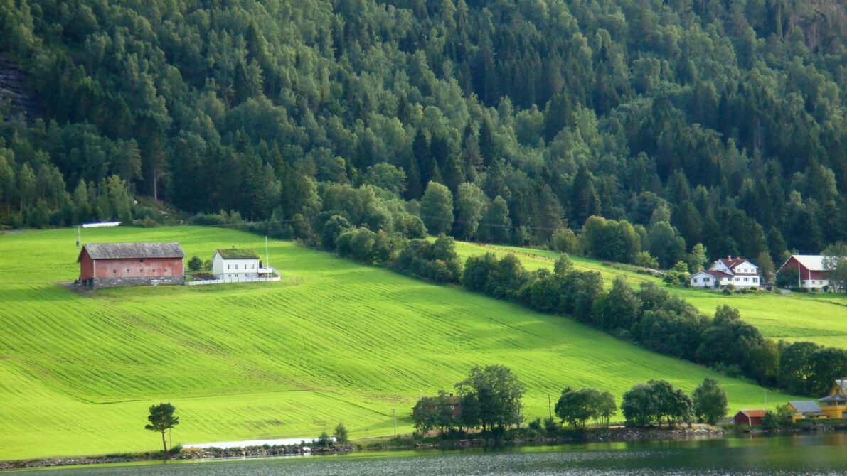 What is a Boreal Forest? Top Destinations to Visit - Eco Lodges Anywhere